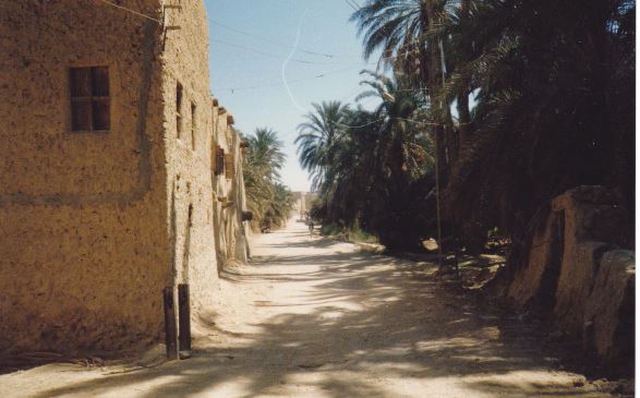 EGYPT – TO THE OASIS OF SIWA VIA MARSA MATRUH | SUBURBAN TRACKER